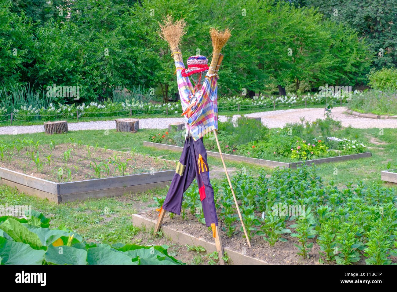 Colorful scarecrow stay in the green garden Stock Photo - Alamy