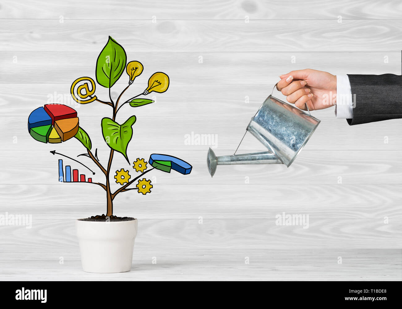 Drawn income tree in white pot for business investment savings and ...