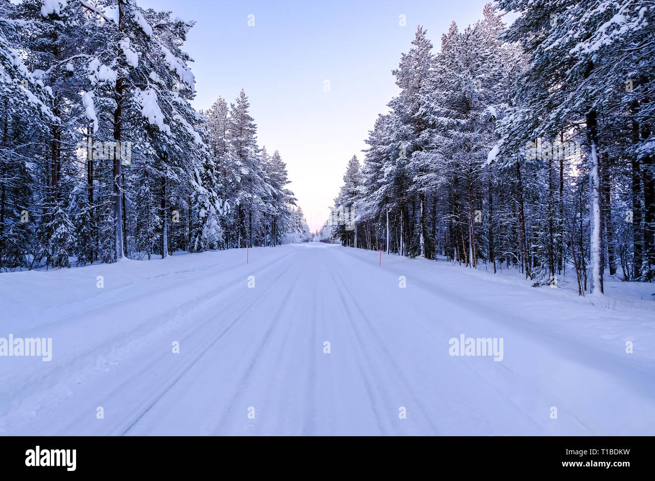 Road through winter snowy forest beyond polar circle in Lapland Stock ...