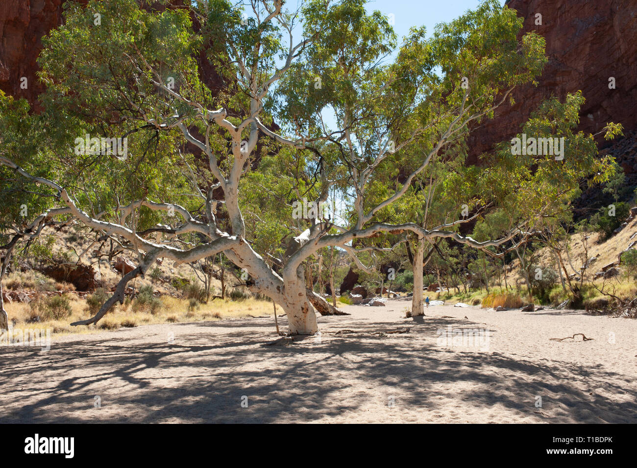 Simpsons Gap, Northern Territory, Australia Stock Photo - Alamy
