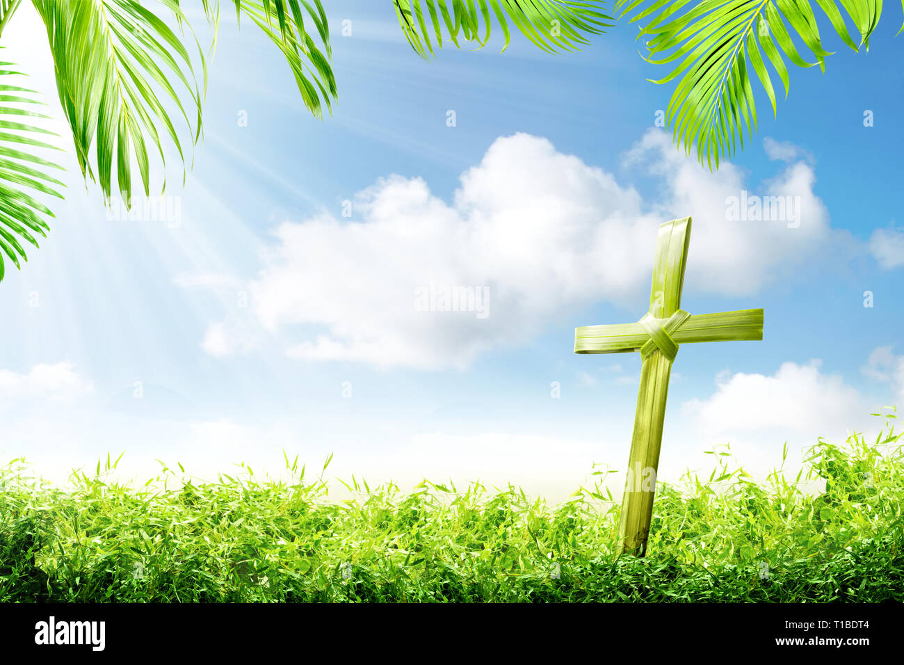 Cross shape of palm leaves on the green grass with palm branches and ...