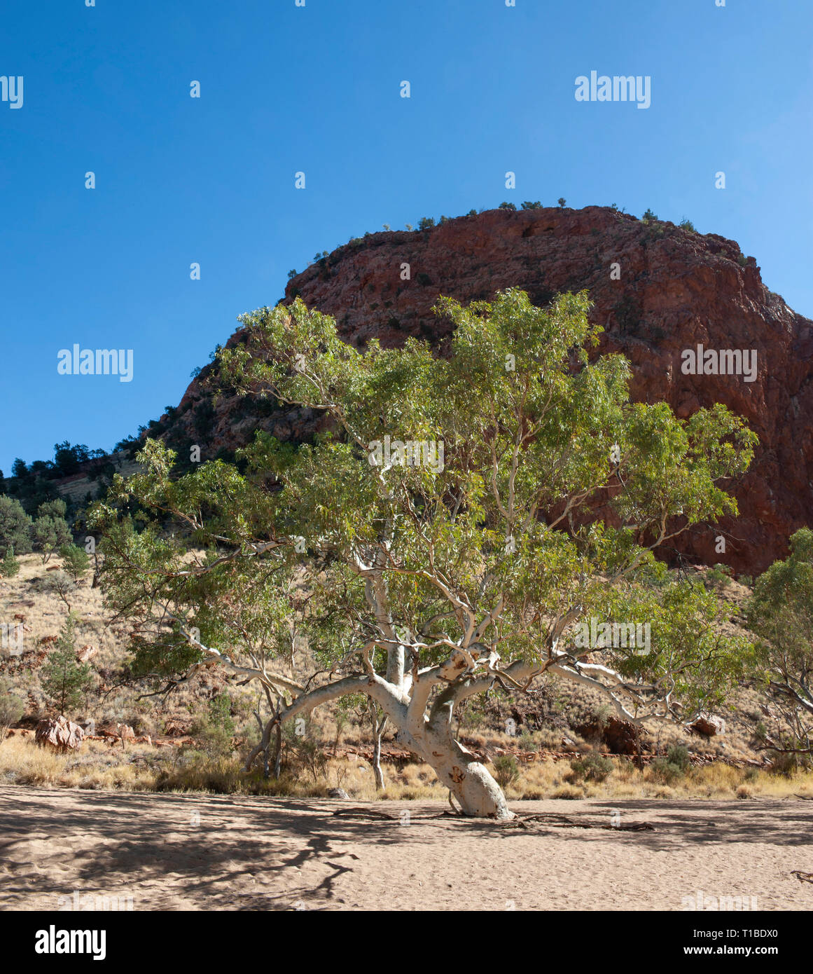 Simpsons Gap, Northern Territory, Australia Stock Photo - Alamy