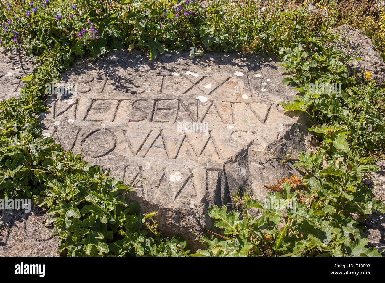 Roman stone texture hi-res stock photography and images - Alamy