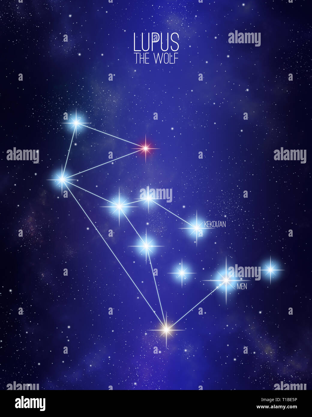 Lupus the wolf constellation on a starry space background with the names of its main stars ...
