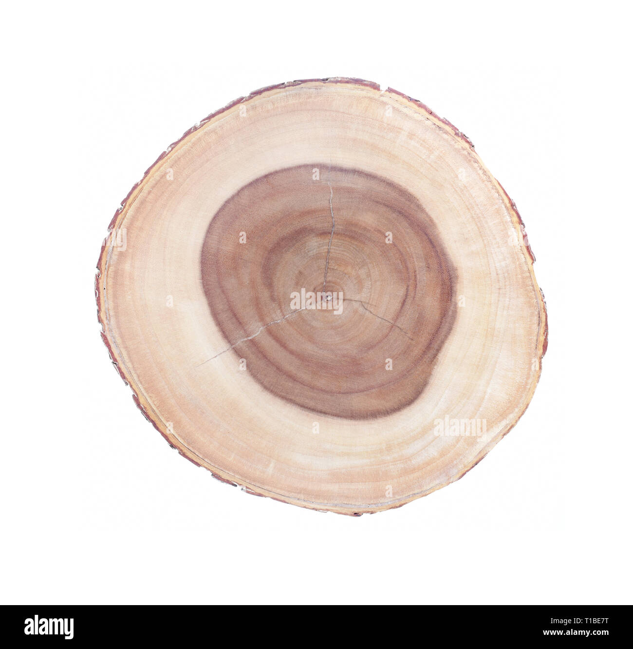 Wooden chopping board isolated on white background, rain tree wood ...