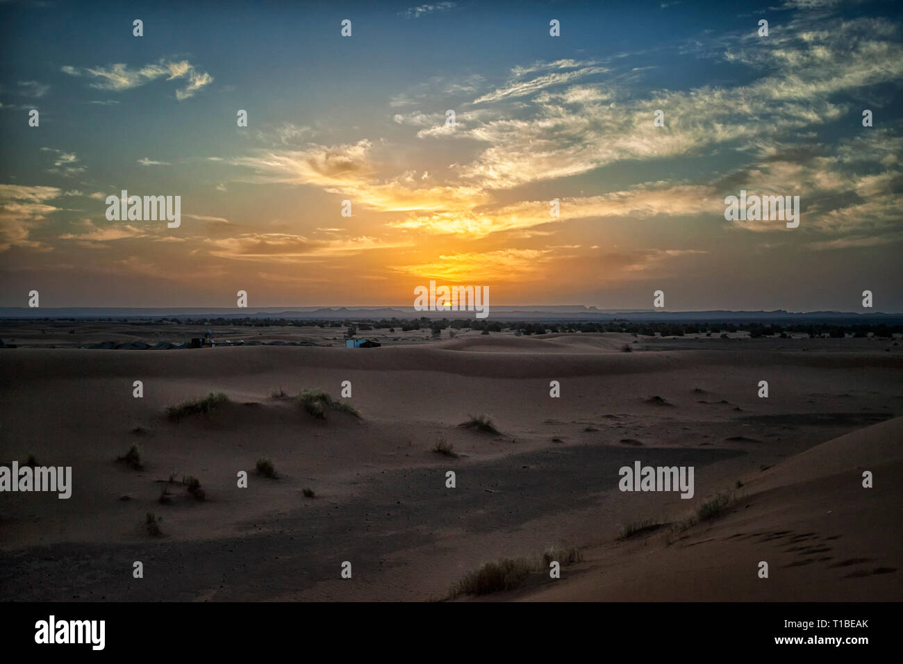 Beautiful sunset in the Sahara desert Stock Photo - Alamy