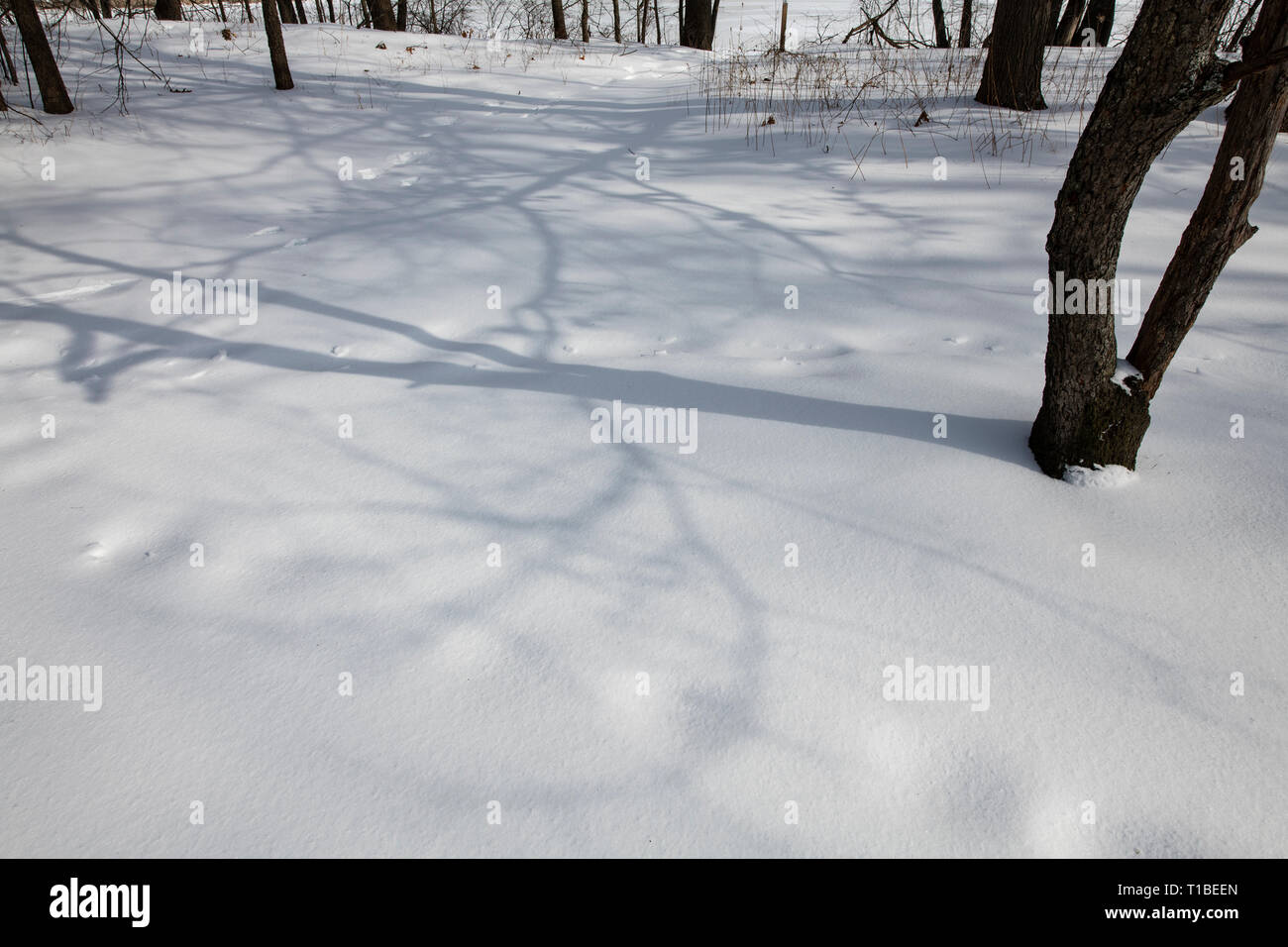 Landscape with snow Stock Photo - Alamy