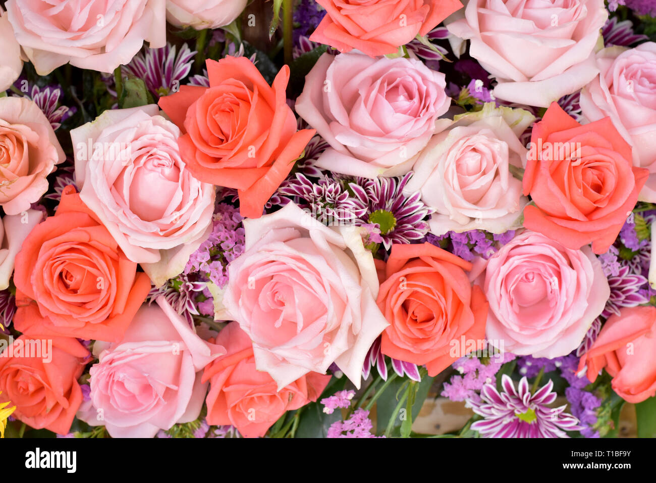 Rose flower decorate as bouquet, beautiful texture on floral floor ...