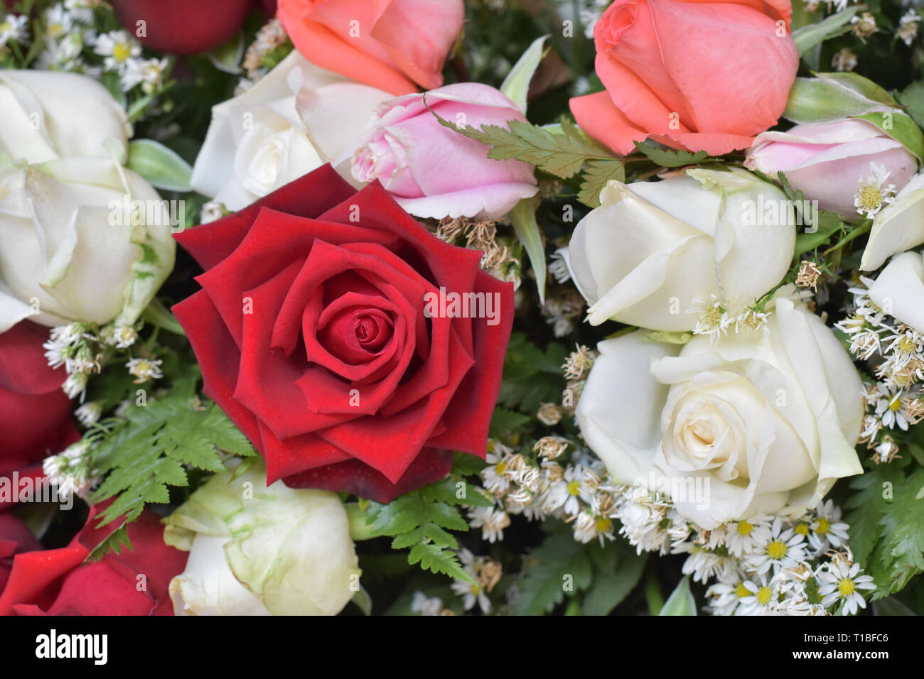 Red rose flower decorate as bouquet, beautiful texture on floral ...