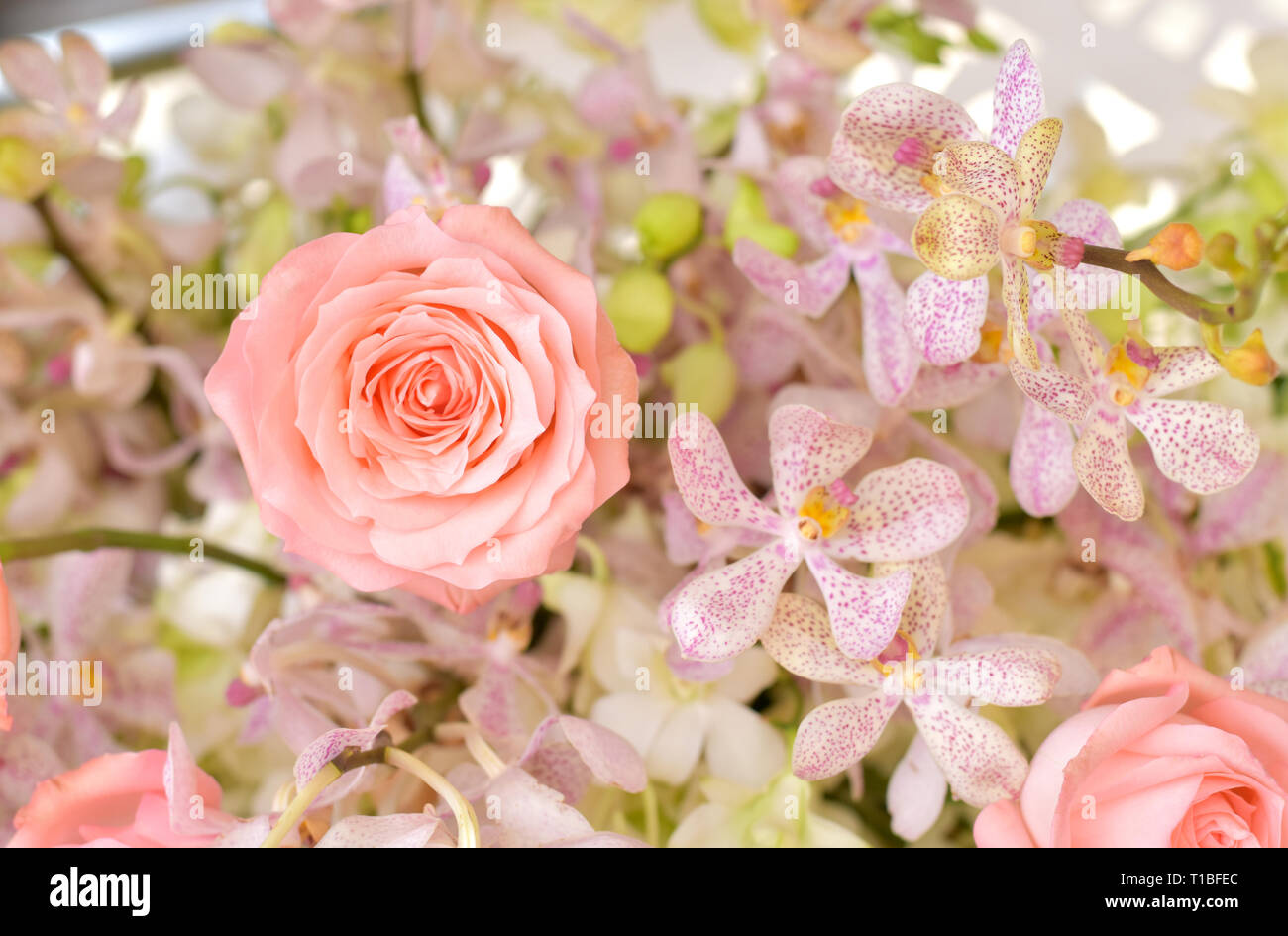 Rose flower decorate as bouquet, beautiful texture on floral floor ...