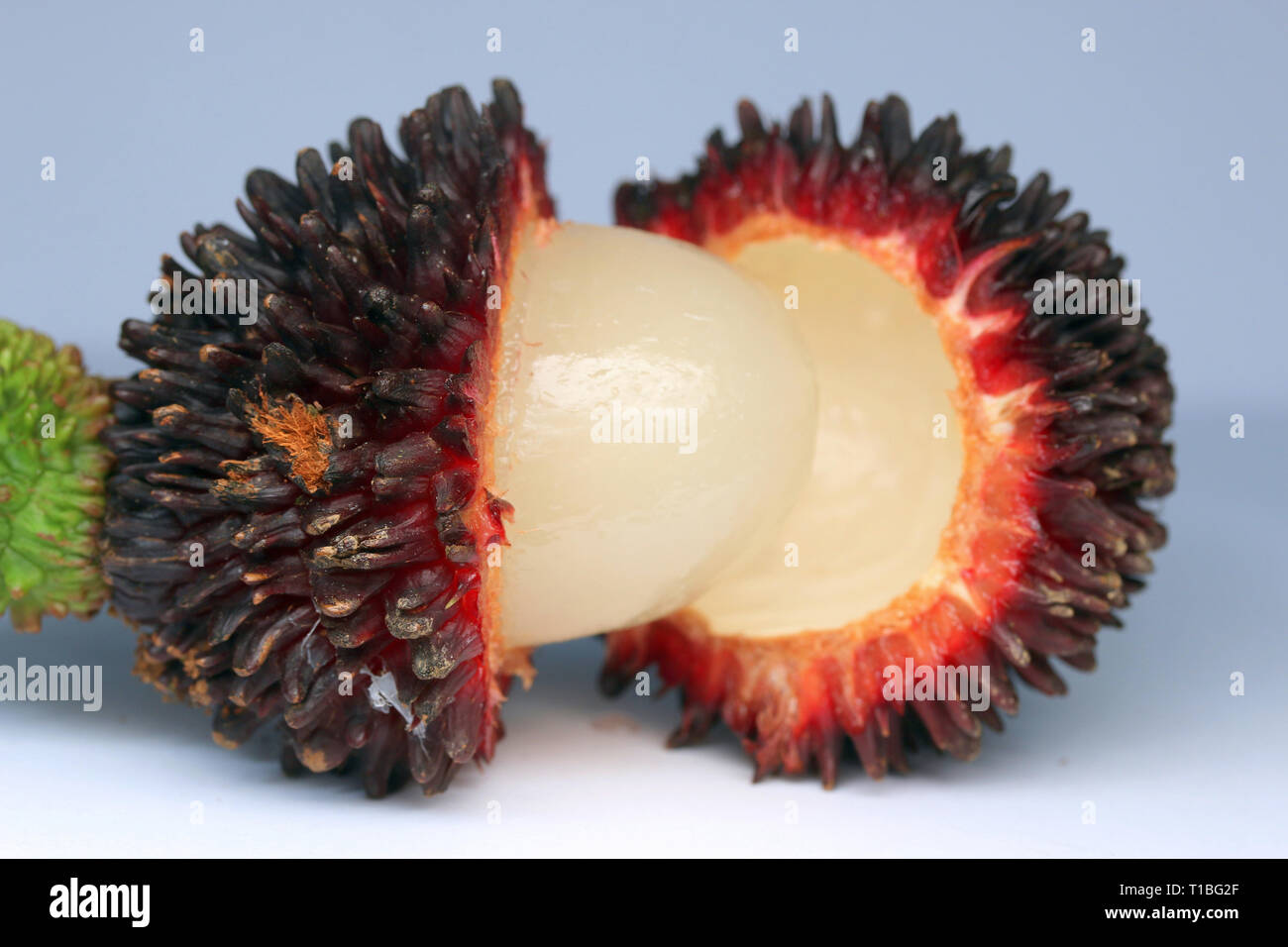 Wild Sweet Pulasan Fruit Stock Photo - Alamy