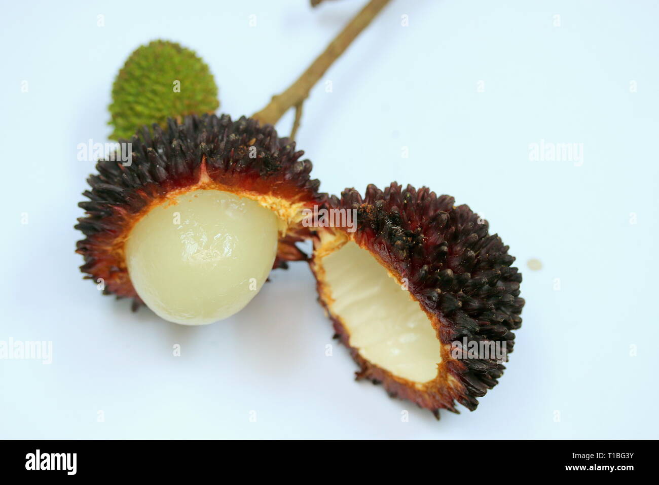Wild Sweet Pulasan Fruit Stock Photo - Alamy