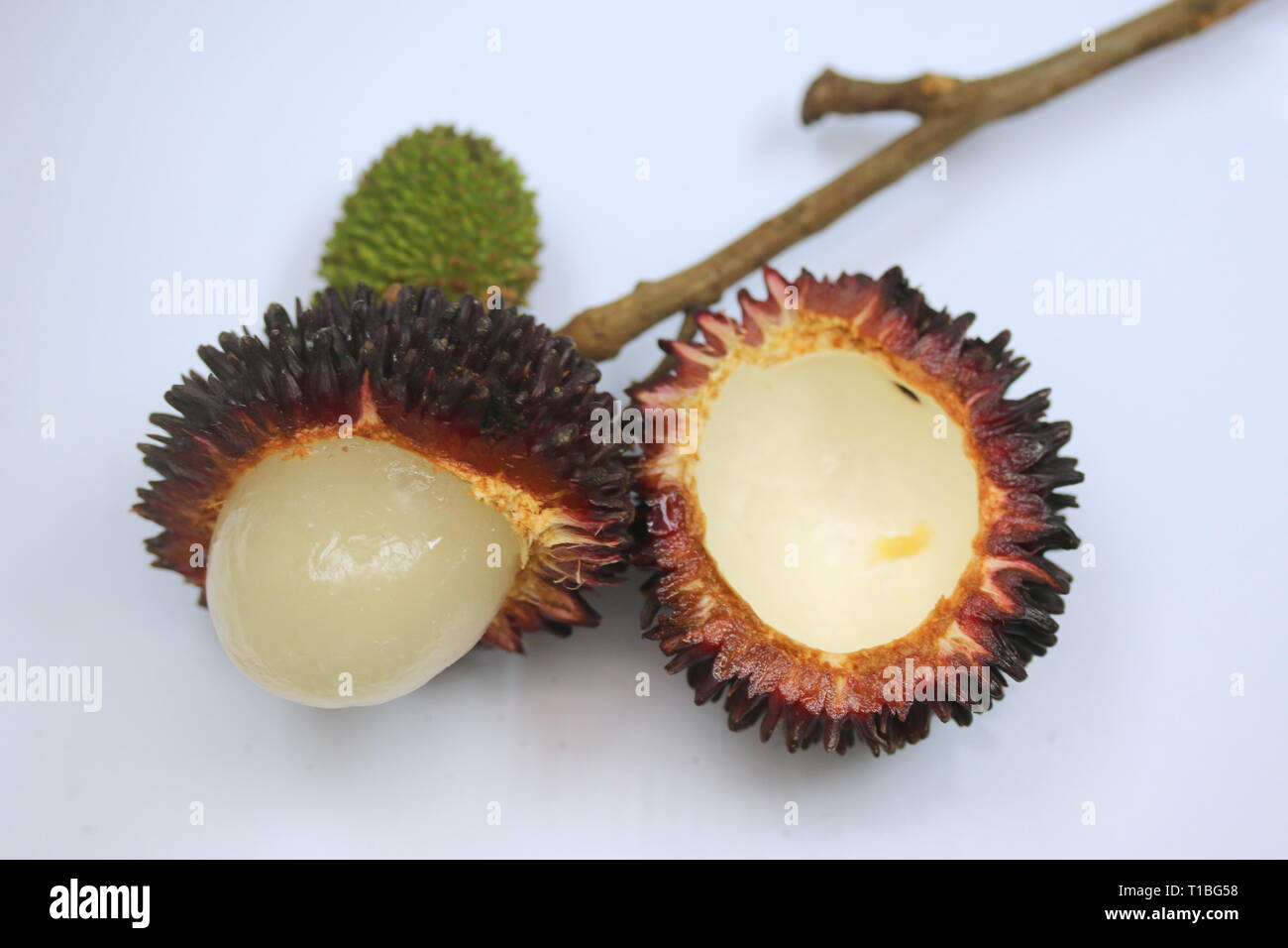 Pulas means twist hi-res stock photography and images - Alamy