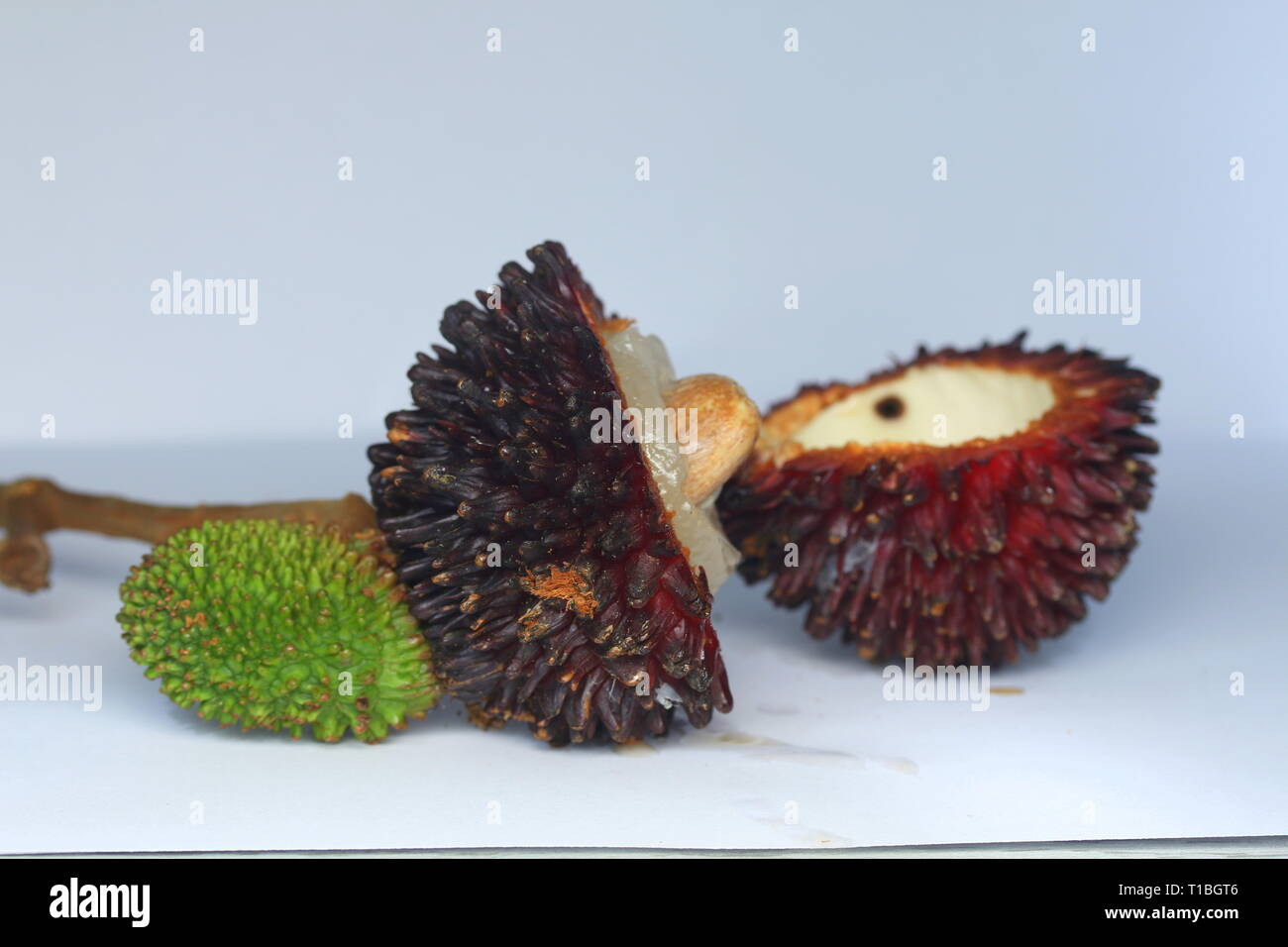 Pulas means twist hi-res stock photography and images - Alamy