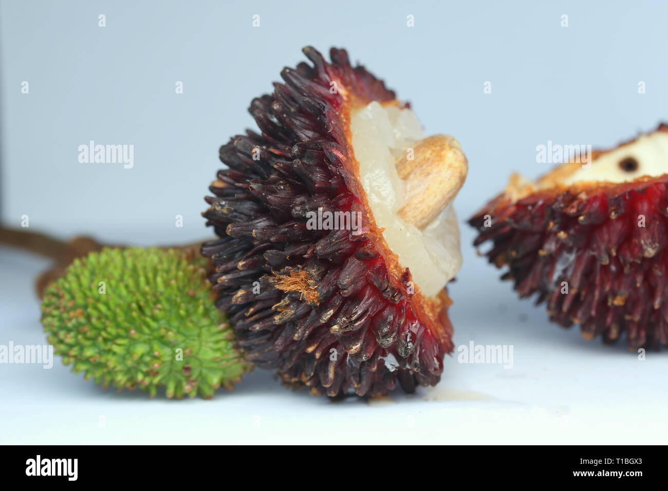 Pulas means twist hi-res stock photography and images - Alamy