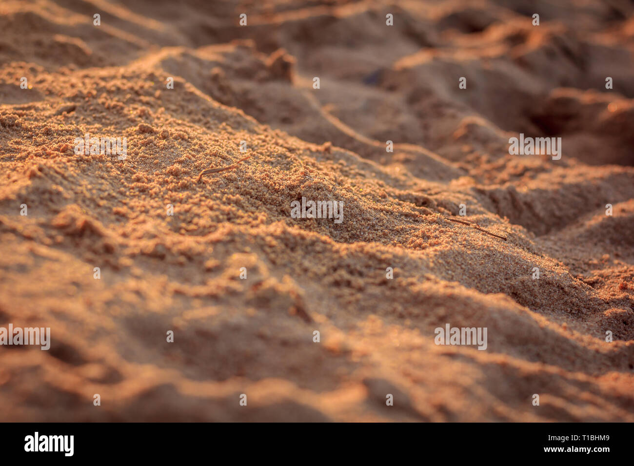 Background of dry beach sand. Sand on the beach texture background ...