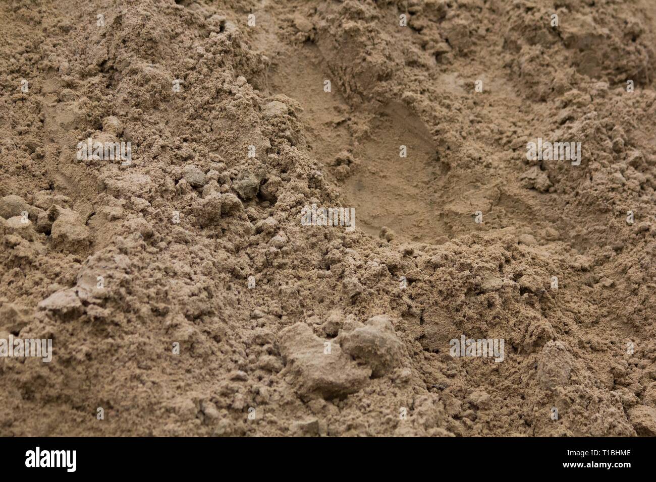 Background of dry beach sand. Sand on the beach texture background ...