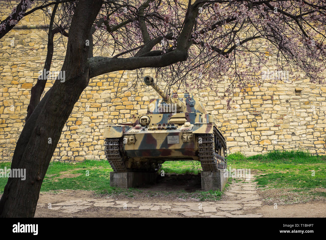 Historical tank hi-res stock photography and images - Alamy
