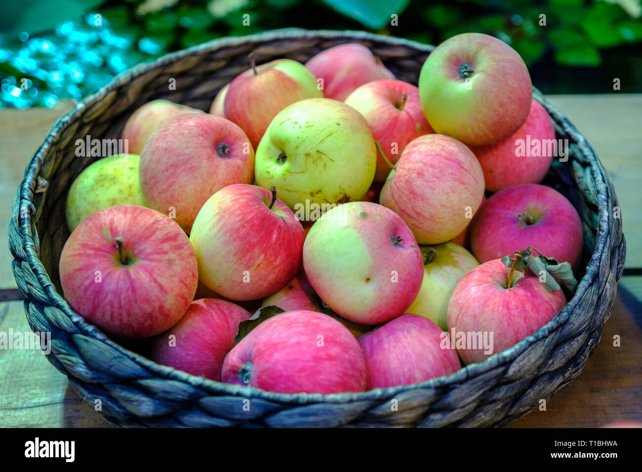Red green apples in hi-res stock photography and images - Alamy