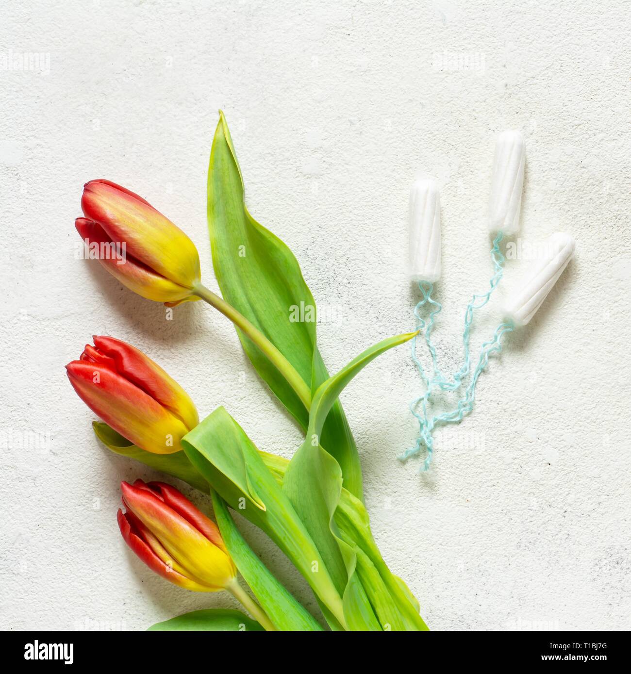 Cotton tampons on a gray and white background. Top view, flat lay ...