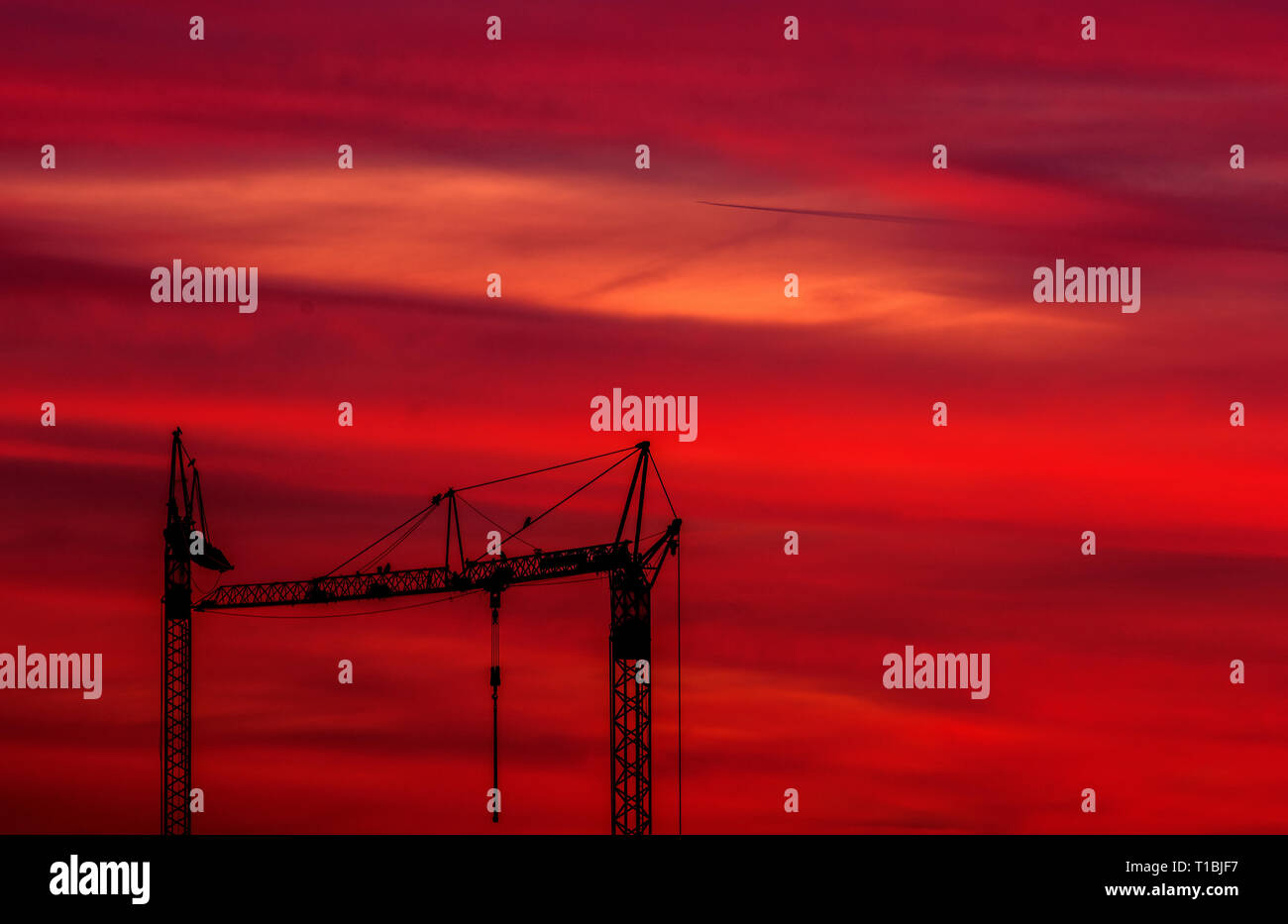 Baden wuerttemberg cranes hi-res stock photography and images - Alamy