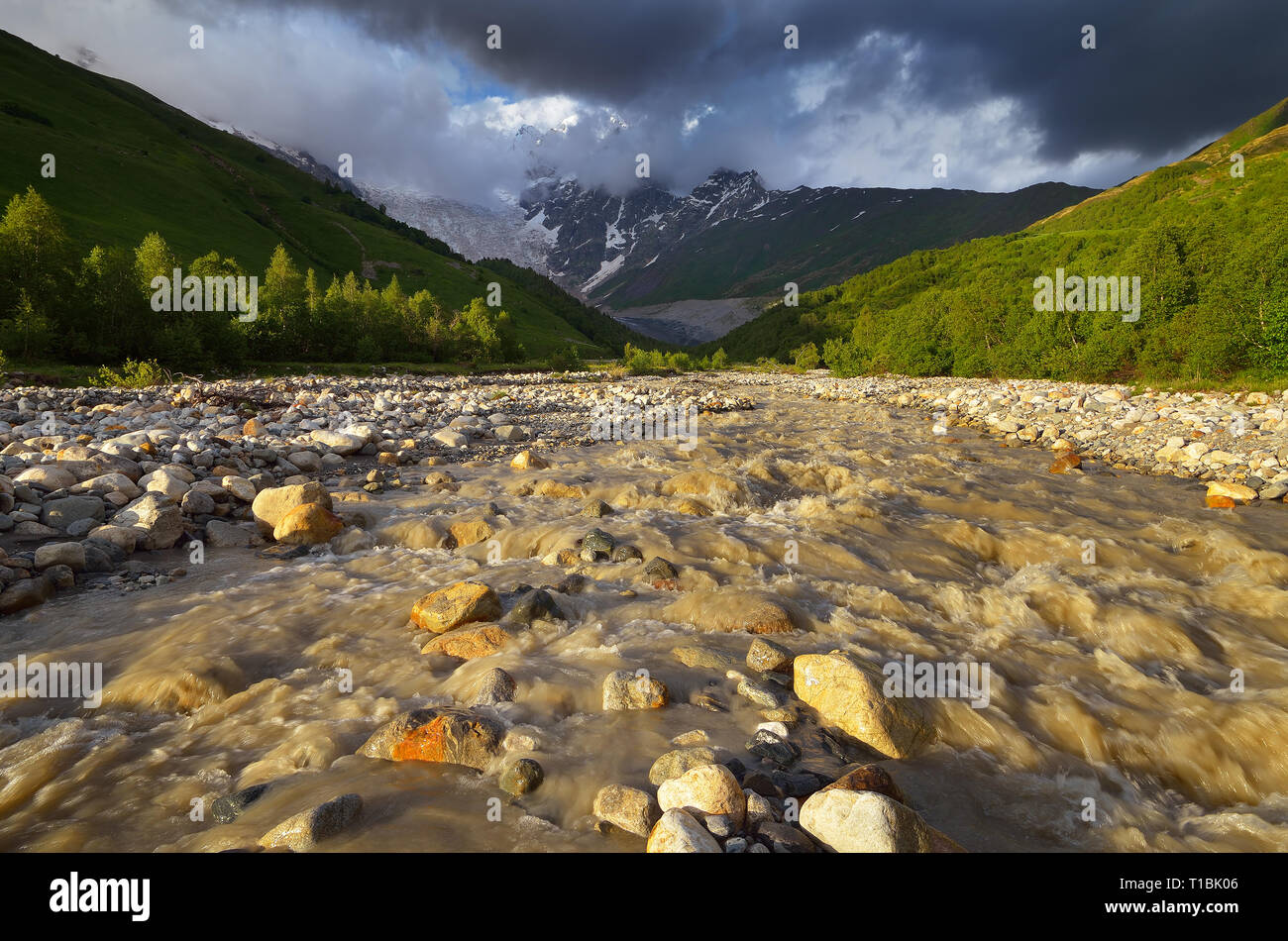 Georgia river hi-res stock photography and images - Alamy