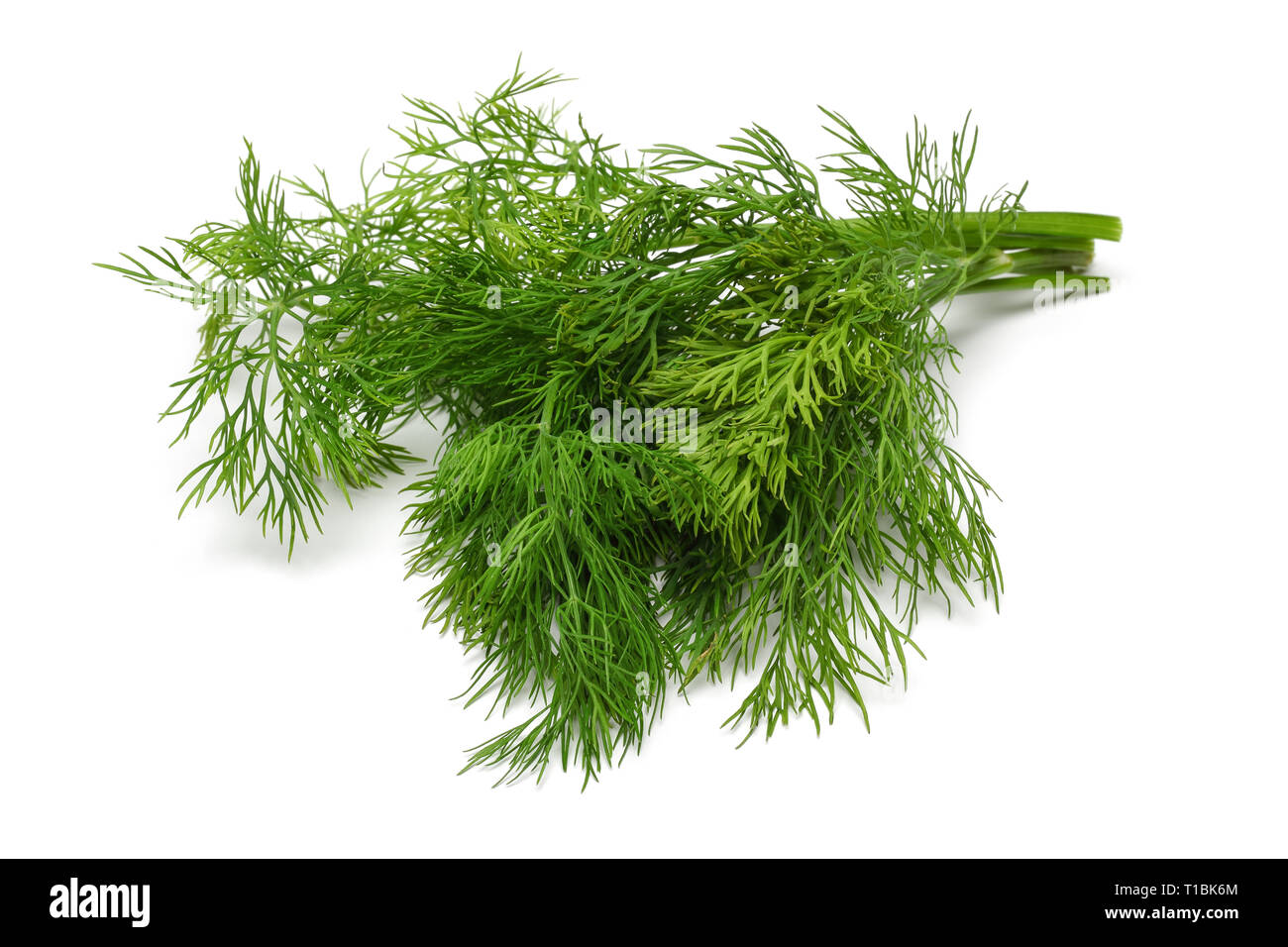 Fresh green dill isolated on white background Stock Photo - Alamy