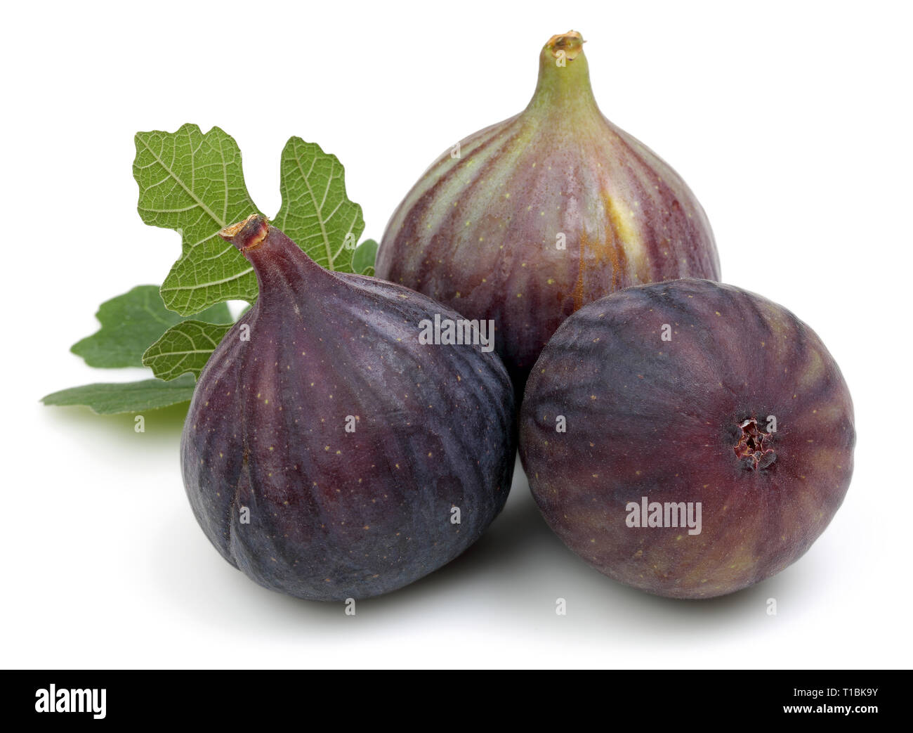 Fresh purple fig fruits with leaf isolated on white background Stock ...