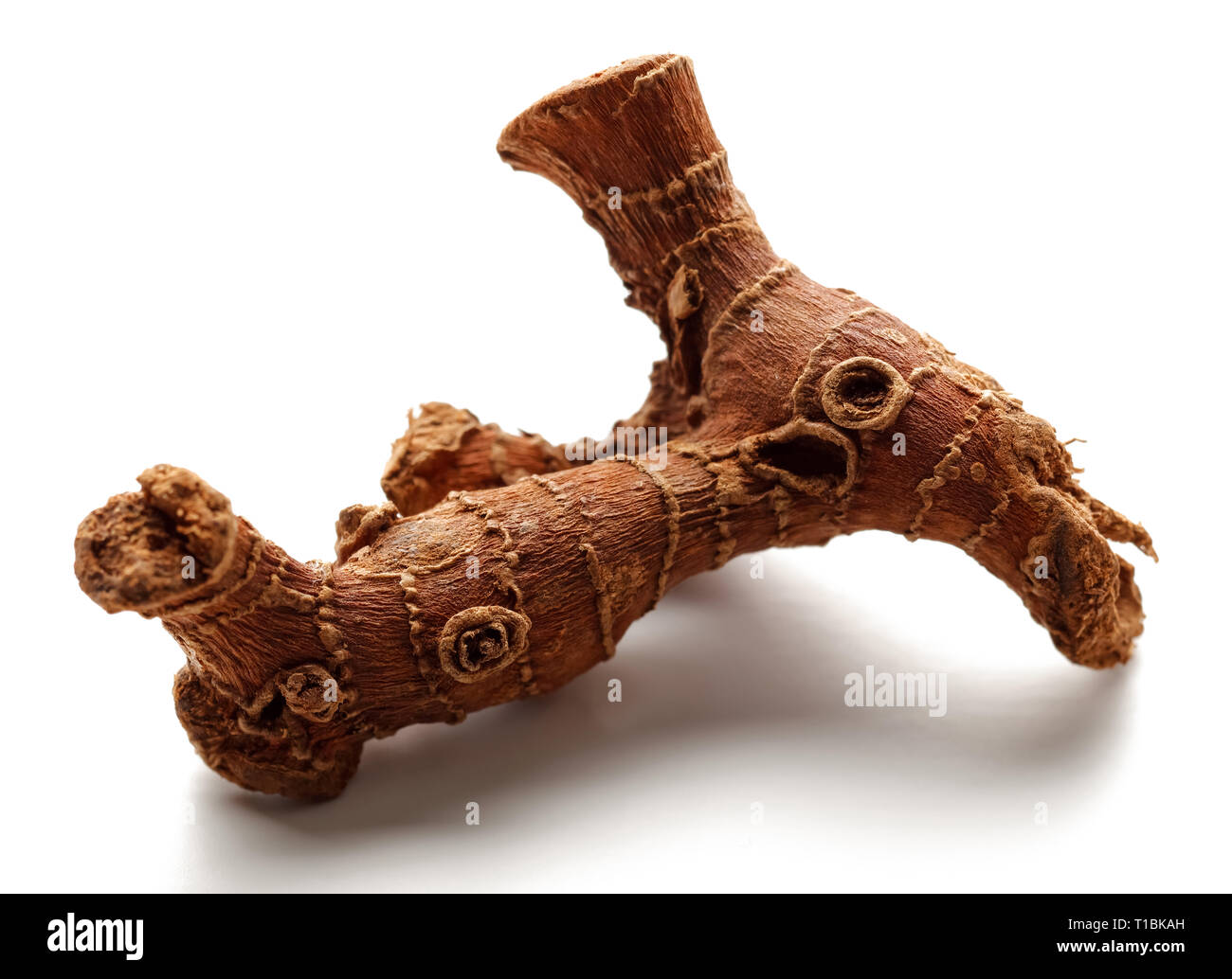 Dry Galangal root isolated on white background Stock Photo - Alamy