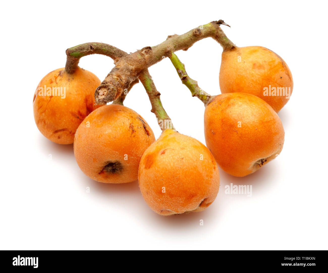 Ripe loquat fruits isolated on white background Stock Photo - Alamy