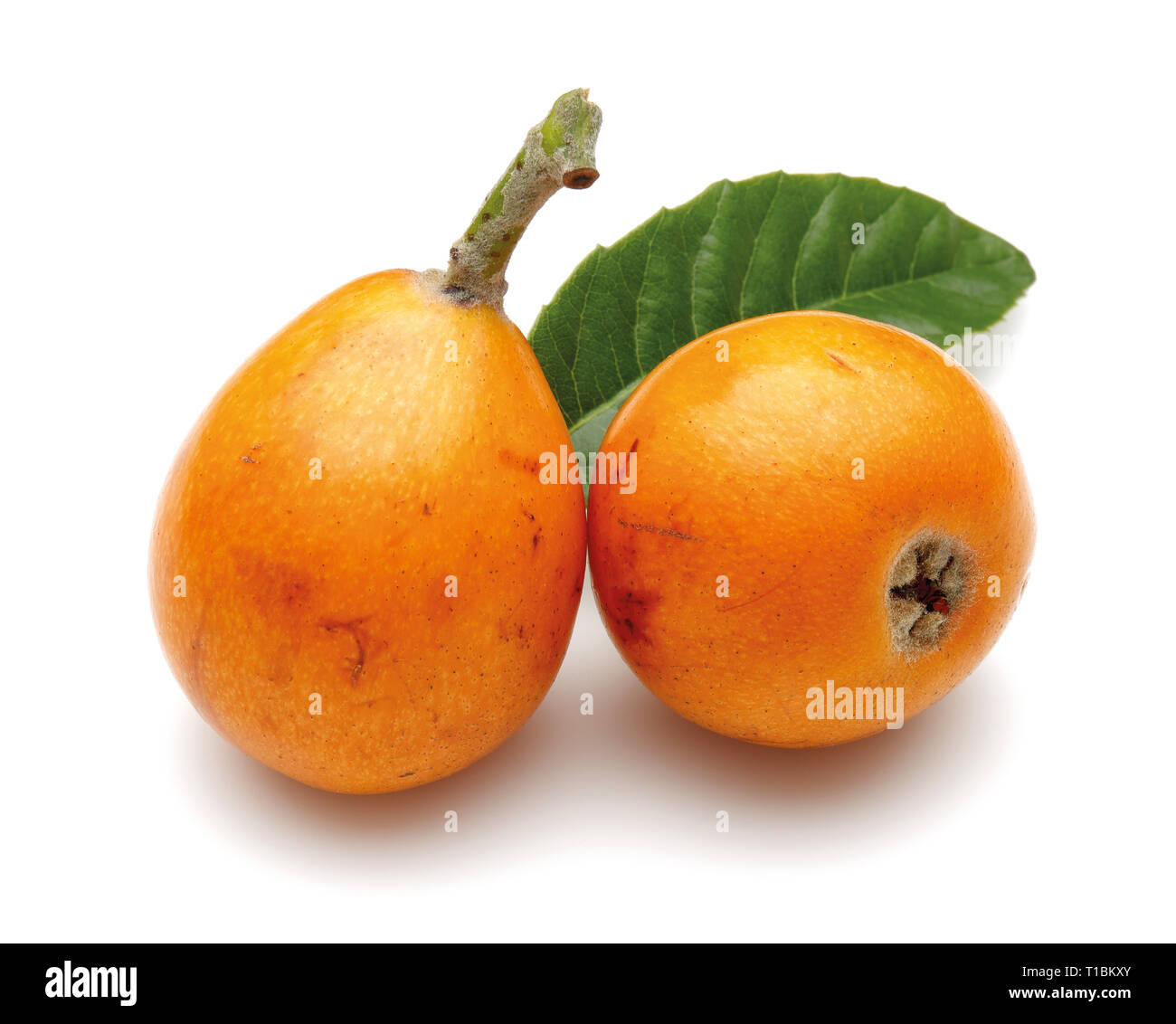 Ripe loquat fruits and leaf isolated on white background Stock Photo ...