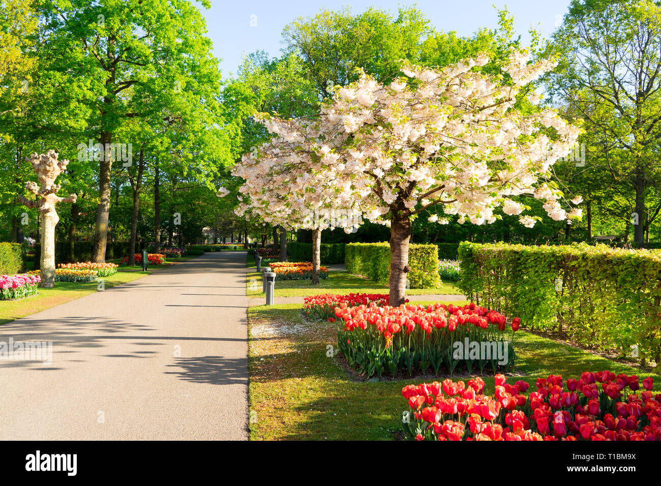 Formal spring garden Stock Photo - Alamy