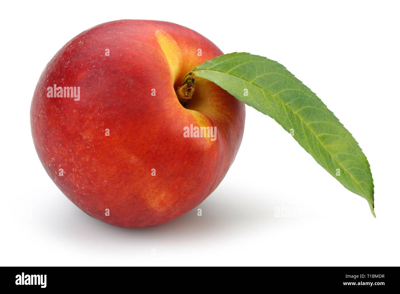 Nectarine peach with leaf isolated on white background Stock Photo - Alamy