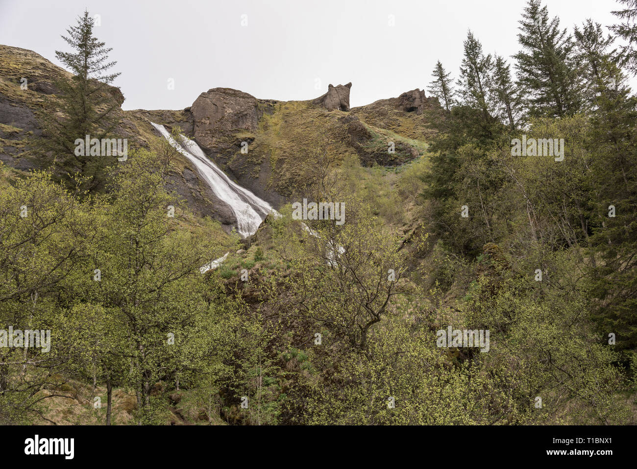 Kirkjubæjarklaustur waterfall hi-res stock photography and images - Alamy