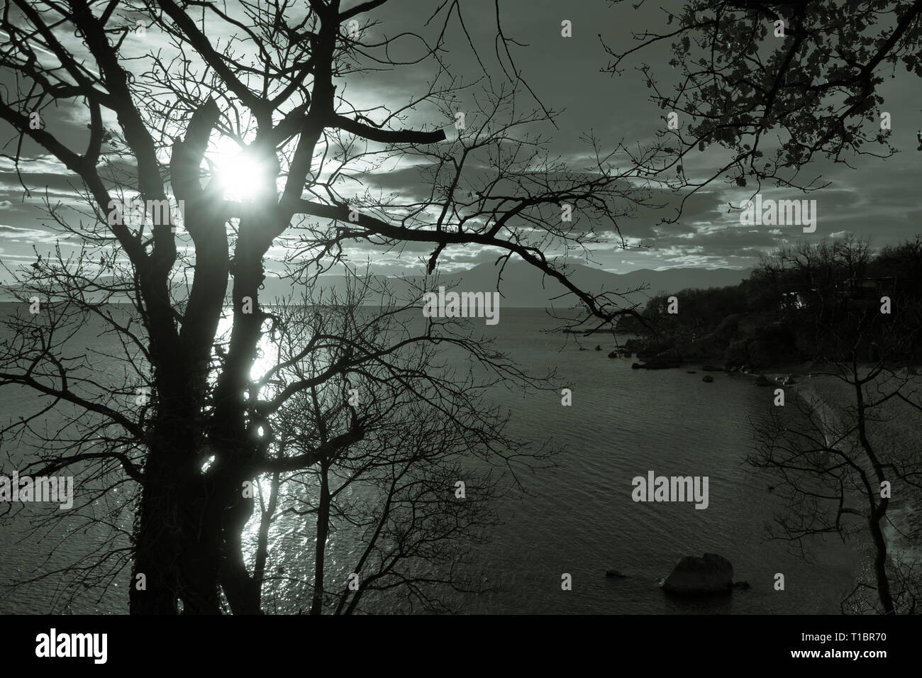 Trough Of The Sea High Resolution Stock Photography and Images - Alamy