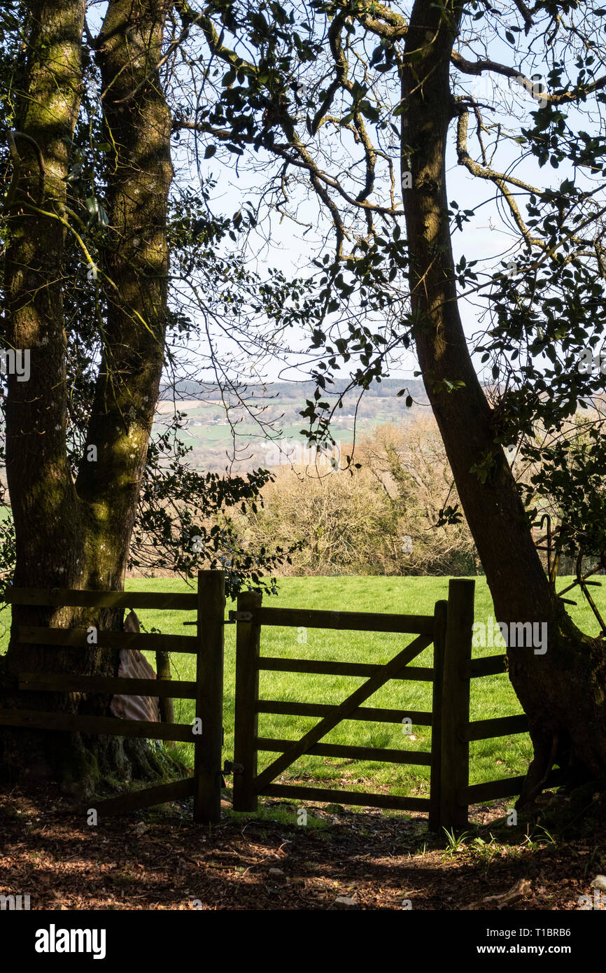 Walk through field hi-res stock photography and images - Alamy