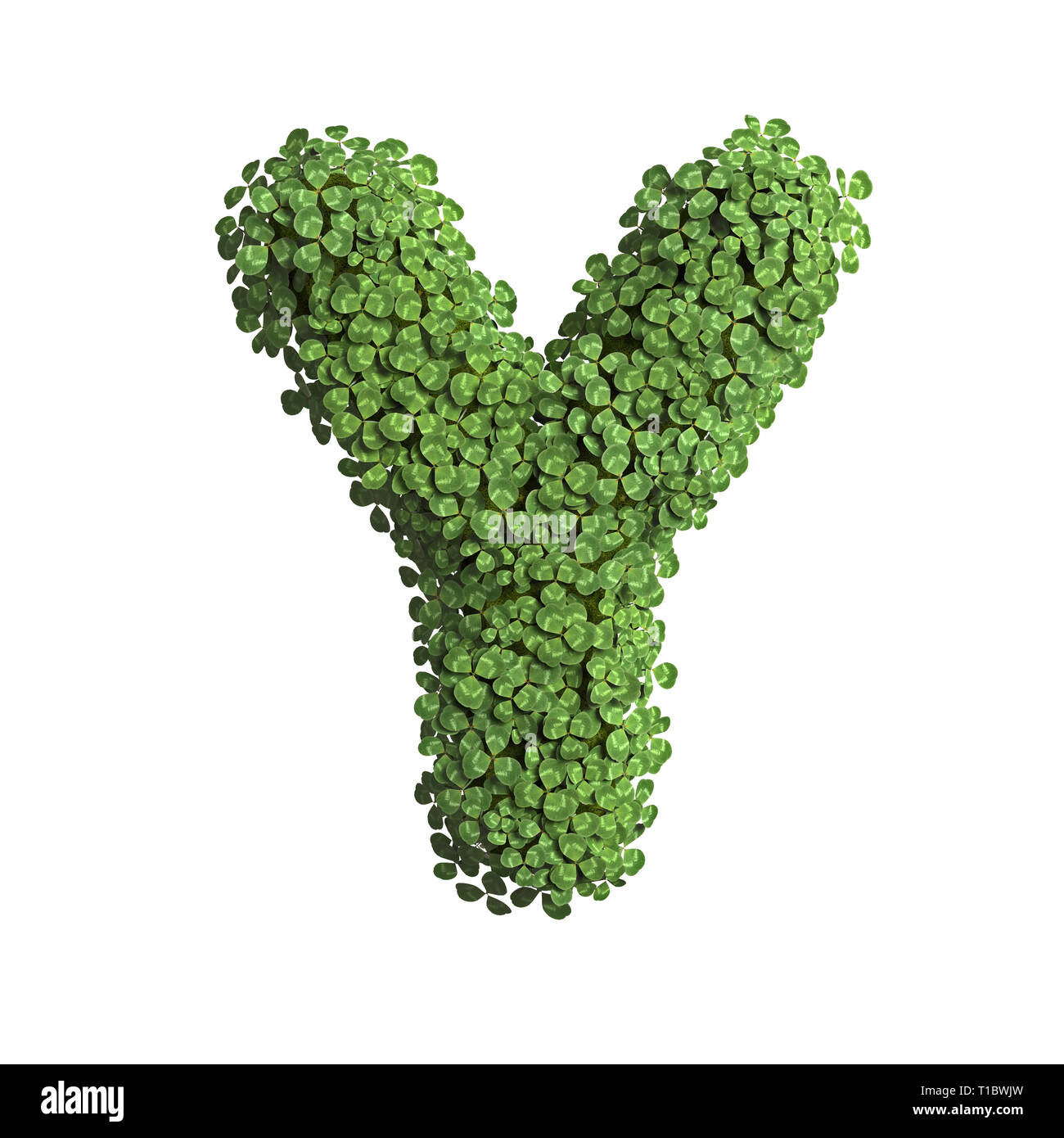 clover letter Y - large 3d spring font isolated on white background ...