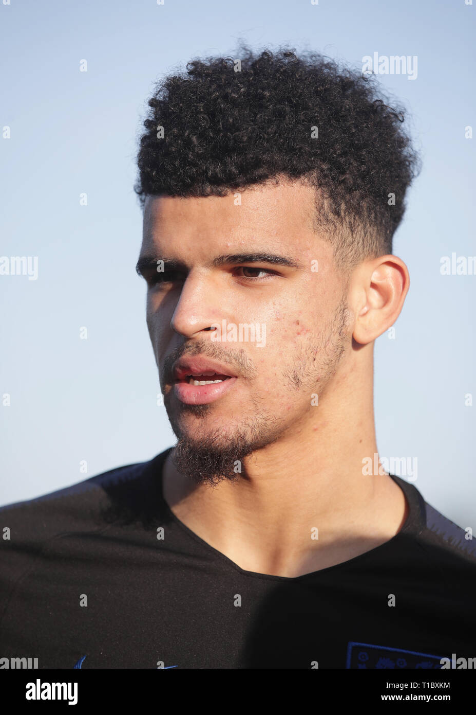 Afc bournemouth training ground hi-res stock photography and images - Alamy