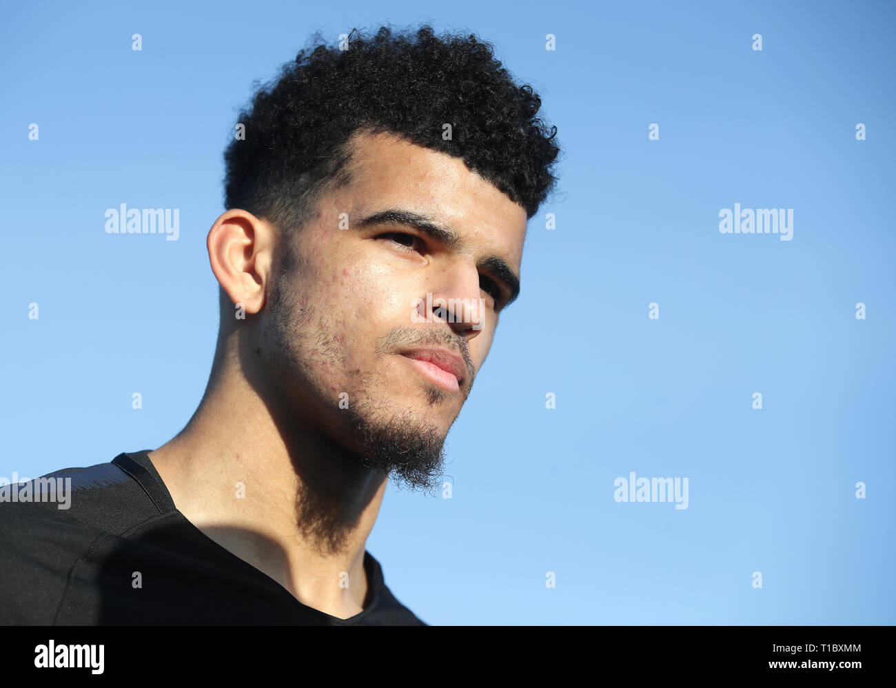 England's Dominic Solanke during the training session at AFC ...