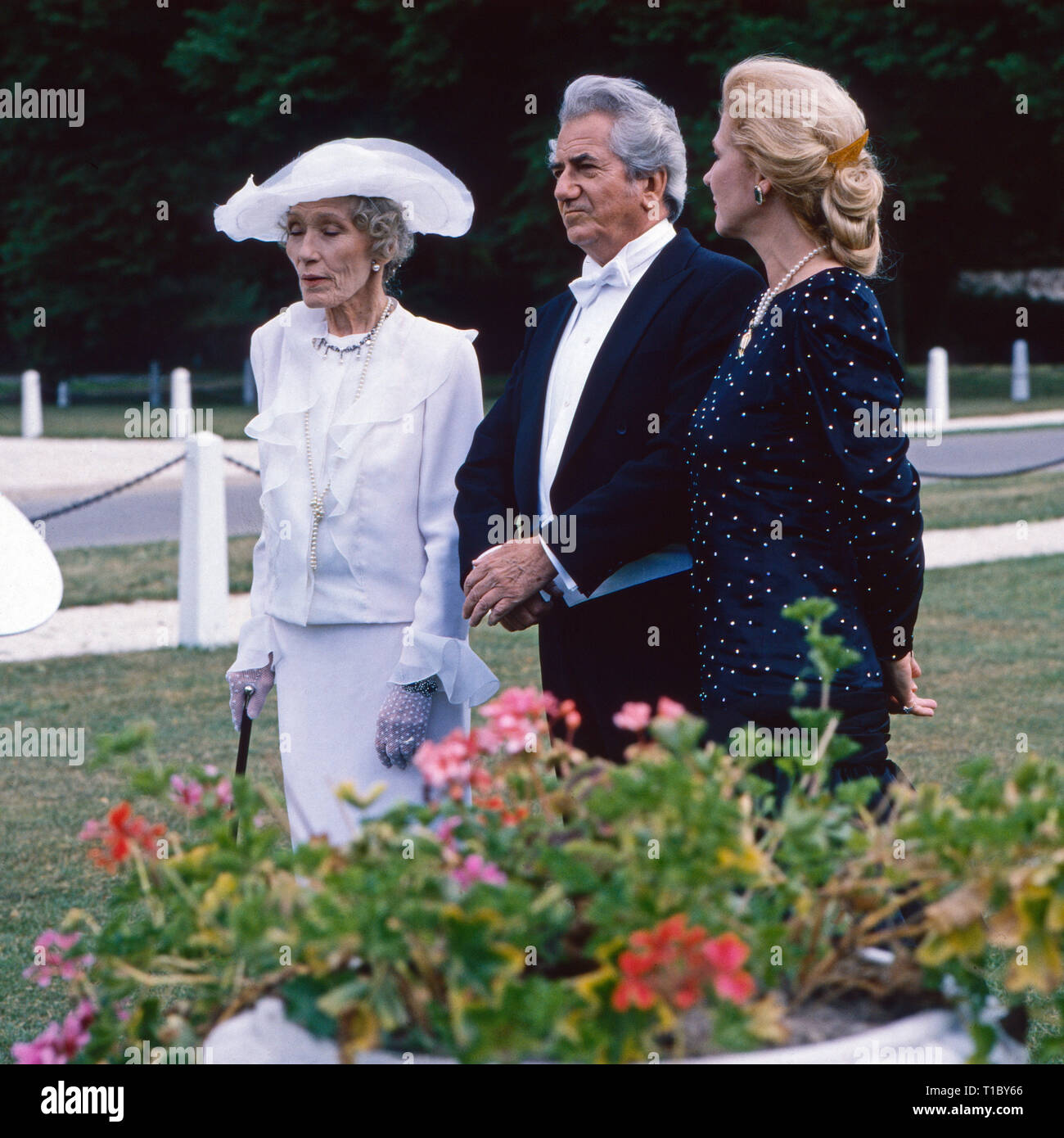 Daniel gelin hi-res stock photography and images - Alamy