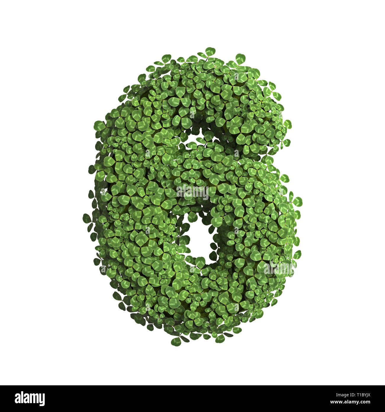 clover number 6 - 3d spring digit isolated on white background. This ...