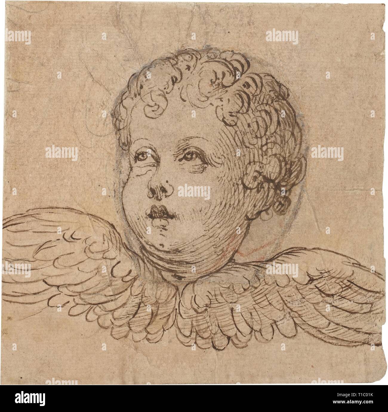 Anonymous / 'Winged head of a putto'. XVI century. Pencil on yellow ...
