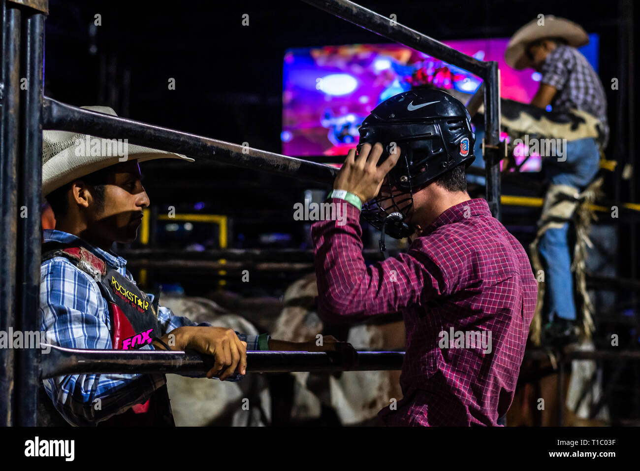 latin bull riders getting ready before Guatemalan rodeo Stock Photo - Alamy