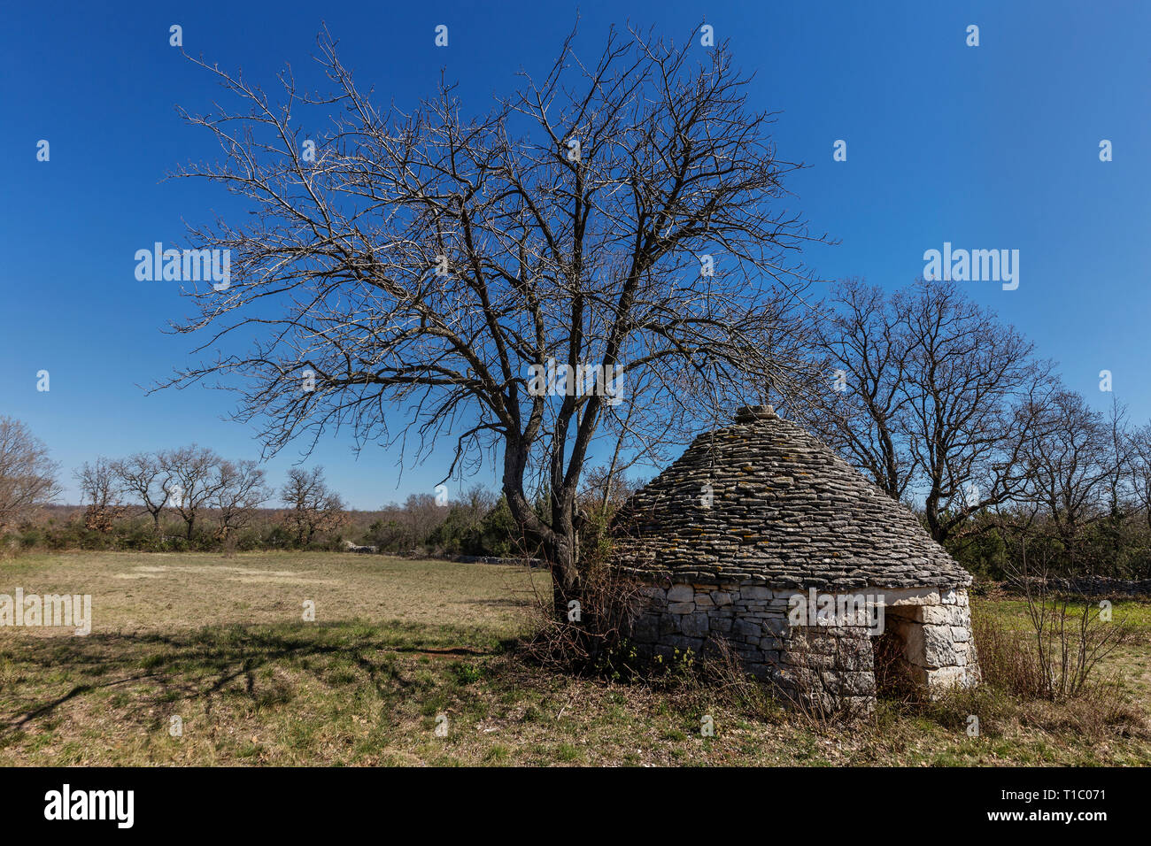 traditional stone hut kazun in Istria in early spring Stock Photo - Alamy