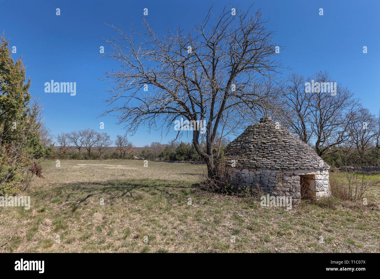 traditional stone hut kazun in Istria in early spring Stock Photo - Alamy