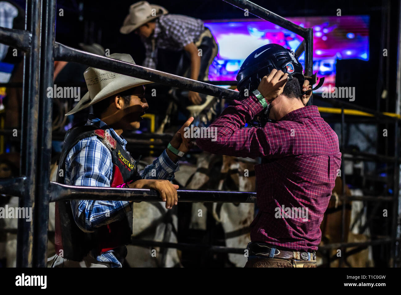 latin bull riders getting ready before Guatemalan rodeo Stock Photo - Alamy