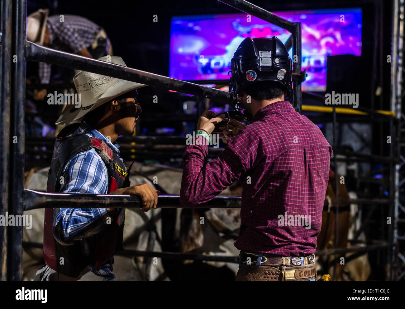 Woman getting ready for night out hi-res stock photography and images ...