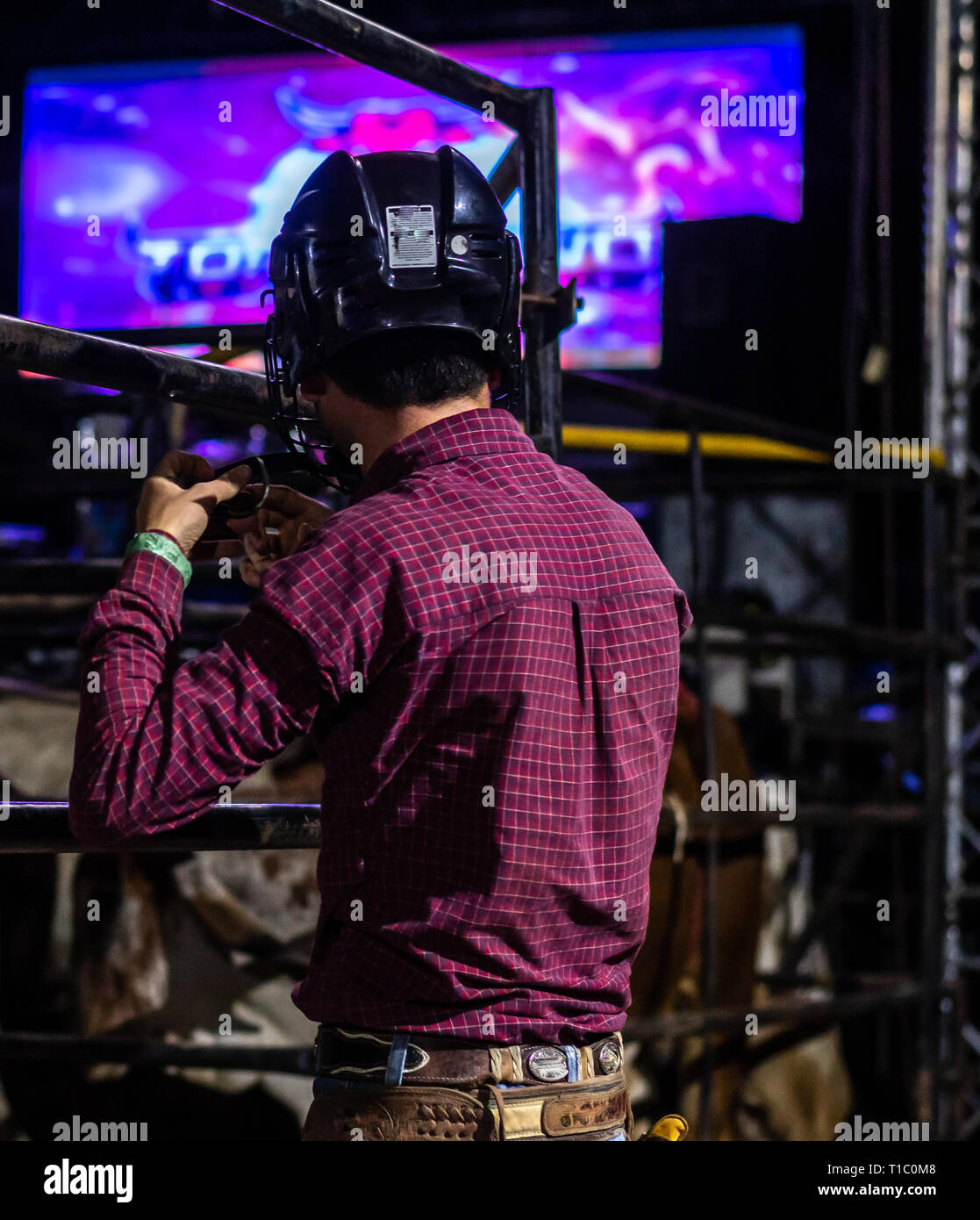 Woman getting ready for night out hi-res stock photography and images ...