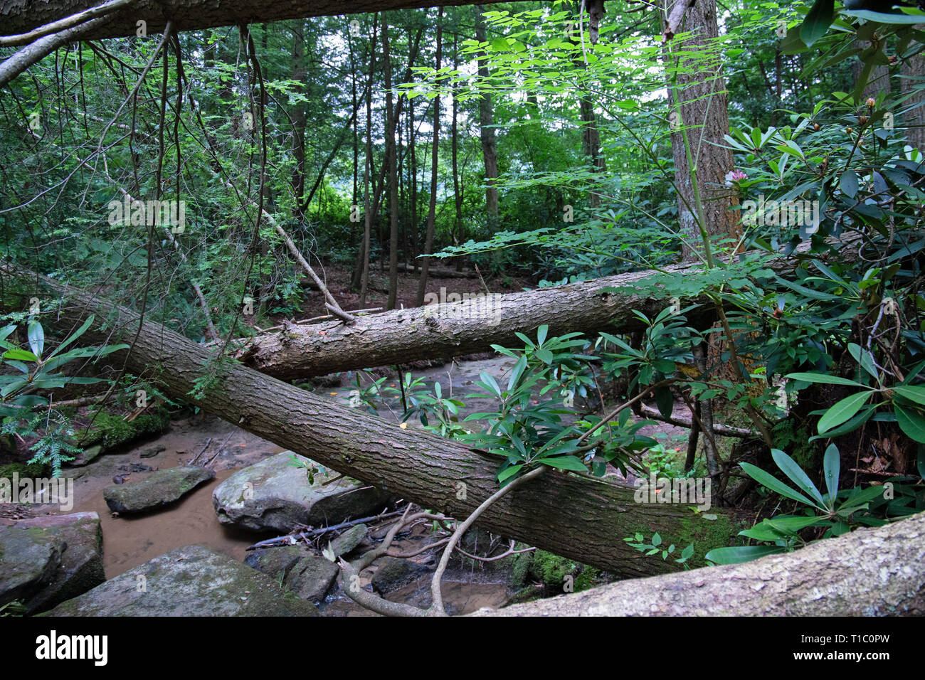 Hike and bike trails hi-res stock photography and images - Alamy