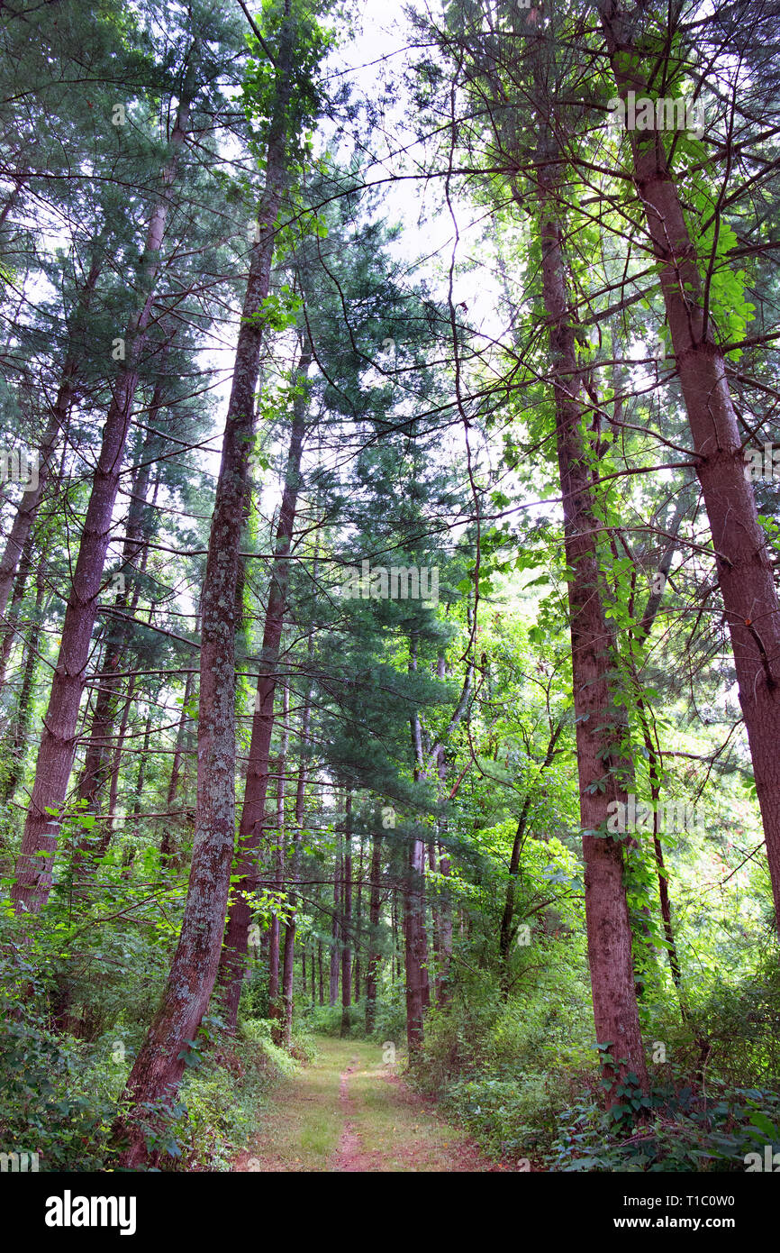 Hike and bike trails hi-res stock photography and images - Alamy